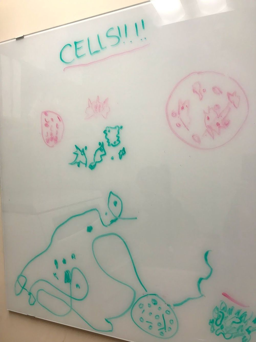Outreach – Single Virion Biology and Biophysics Unit